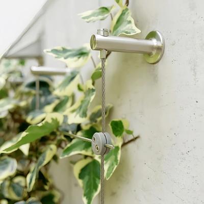 China 26inch Wide 80inch High Stainless Steel 316 Architectural Trellis Netting for Green Facade Systems for sale