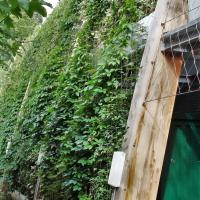 China Flexible Weatherproof Wall Wire Trellis System With AISI316 Material And 50x80mm Aperture for sale