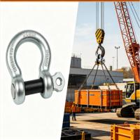 China European Type D Shackle Stainless Steel With Round Pin For Marine Lifting & Industrial Rigging Webnet for sale