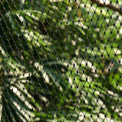 China High Strength Webnet Zoo Enclosures with 1.5mm Rope and 30mm Mesh Aperture for Animal Security for sale
