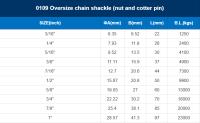 China Heavy Duty Stainless Steel D Shackle Bolt Type with Nut & Cotter Pin Polished for Towing Webnet for sale