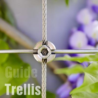 China RTS Waterproof Green Wall Cable Trellis System For Stainless Steel Facade Trellis & Vertical Greening for sale