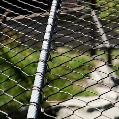 China Ferruled Stainless Steel Rope Zoo Netting X-Tend For Animal Enclosures for sale