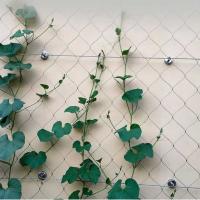 China Customizable Stainless Steel Rope Net Trellis System with Ferrule-Jointed Diamond Mesh for High-Tensile Strength Building Facades for sale