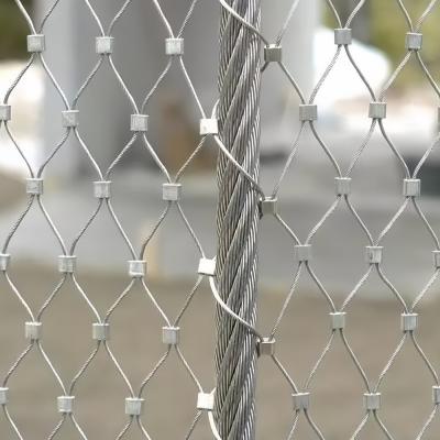 China Customizable Stainless Steel Rope Net Trellis System with Ferrule-Jointed Diamond Mesh for High-Tensile Strength Building Facades for sale