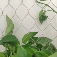 China 304/316 Stainless Steel Wire Rope Net Garden Vine Climbing Diamond Rope Net for sale