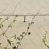 China Flexible Stainless Steel Cable Mesh For Garden Vine Climbing for sale
