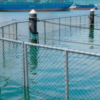 China Marine-Grade 316L Stainless Steel Webnet Barrier with 50mm Mesh Aperture and Fully Strung Tubular Frames for Floating Debris Containment for sale