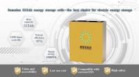 China Commercial Ess 315ah LiFePO4 Lithium Battery 3.2V Nominal Voltage 12500 Times Cycle Life for sale