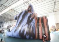China Custom Inflatable Tiger Mascot Tunnel Entrance for Football Games 110V 220V for sale