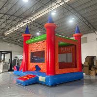 China Inflatable Bouncer Jumping Castle with Slide 0.55mm PVC for Commercial Use for sale
