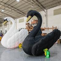 China Custom Giant Inflatable Swan Balloon 3m Tall White Black Swan Model for Advertising Decoration for sale