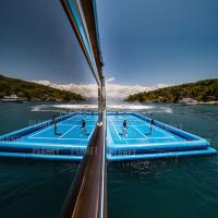 China Portable Inflatable Pickleball Court 18x9m PVC Floating Water Sport Platform for Sea Games for sale