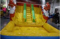 China Commercial Inflatable Double Lane Water Slide 6x4x4.6m PVC for Kids Outdoor Play for sale
