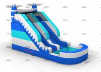 China Outdoor Kids Inflatable Blue Water Slide 6.3m with Dual Lane and Palm Tree Design for sale
