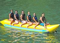 China Inflatable Flying Fish Water Towable Tube 0.9mm PVC Heavy Duty for Sea Lake for sale