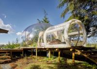 China Large Inflatable Bubble Tent 3-6 Meter Diameter Clear PVC Outdoor Camping Shelter with CE Certification for sale