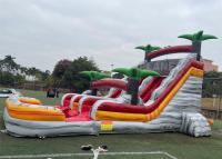 China Commercial Inflatable Water Slide with Pool 9.15m Double Lane PVC Park Slide for sale