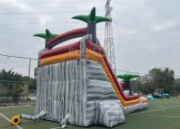 China Commercial Inflatable Water Slide with Pool 9.15m Double Lane PVC Park Slide for sale