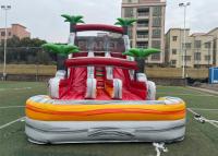 China Commercial Inflatable Water Slide with Pool 9.15m Double Lane PVC Park Slide for sale