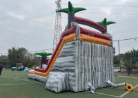 China Commercial PVC Tarpaulin Inflatable Water Slide with Pool 9.15m x 5.79m for sale