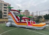 China Commercial Inflatable Water Slide 18oz PVC Double Lane with Pool 9.15m x 5.79m for sale