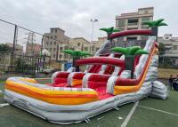 China Commercial Inflatable Water Slide 18oz PVC Double Lane with Pool 9.15m x 5.79m for sale
