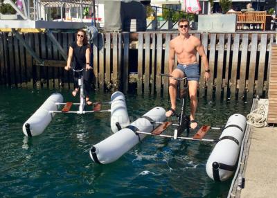 China PVC Inflatable Sea Banana Pontoon Boat Tube 350cm for Floating Water Bike for sale