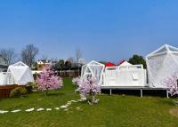 China Commercial Transparent Inflatable Bubble Tent 0.8mm PVC Outdoor Camping Hotel Stargazing Dome 220V for sale