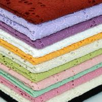 China Sustainable Cotton Eyelet Trim Embroidered Mesh Lace Fabric 130cm for sale