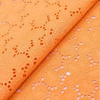 China Sustainable Cotton Eyelet Trim Embroidered Mesh Lace Fabric 130cm for sale