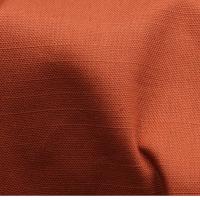 China Solid Yarn Dyed 100% Cotton Oxford Shirting Fabric Textile Supply for sale