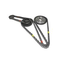China For Nissan QR25DE Engine Timing Chain Kits 13028-6N200 13028-6N20A for sale