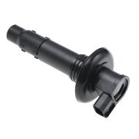 China 296000307 420664020 290664020 1297004410 SeaDoo Ignition Coil for sale