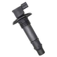 China 296000307 420664020 290664020 1297004410 SeaDoo Ignition Coil for sale