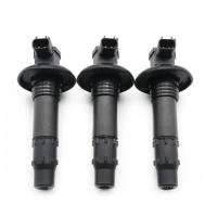 China 296000307 420664020 290664020 1297004410 SeaDoo Ignition Coil for sale