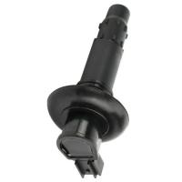 China 296000307 420664020 290664020 1297004410 SeaDoo Ignition Coil for sale