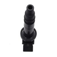 China High performance Factory wholesale Ignition Coil 90919-02248 90919-02260 for Toyota 4Runner Land Cruiser Prado Tundra Tacoma for sale