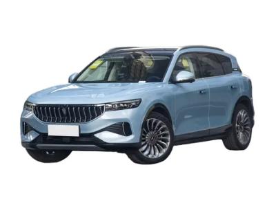 China Eco Friendly 14inch Voyah EV Electric New Energy Car With 6-8h Charging Time for sale