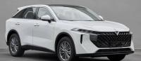 China 5 Seaters Venucia V Online Venucia Ev 97kW With 5 Speed Manual Transmission for sale
