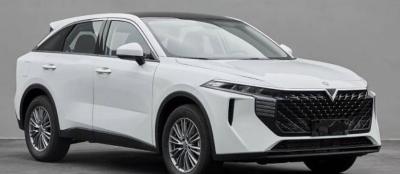 China 5 Seaters Venucia V Online Venucia Ev 97kW With 5 Speed Manual Transmission for sale