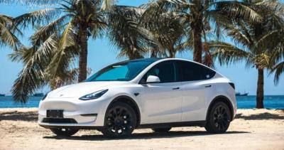 China 2023 Tesla Model Y Performance White Long Range Electric SUV with LED Lights and Autopilot for sale