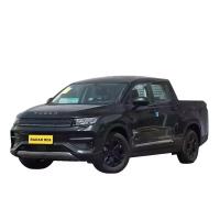 China Large Space 2WD Electric Pickup Trucks with Geely RD6 and Automatic Transmission for sale