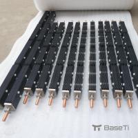China Ruthenium Iridium Titanium Anode Platinized Titanium Electrode For Swimming Pool for sale