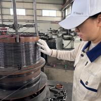 China Grade 1 2 5 23 Ti-6Al-4V ELI Titanium Wire for Aerospace, Chemical, And Power Industries for sale