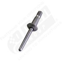 China RIVETS for sale