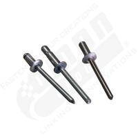 China RIVETS for sale
