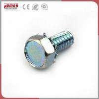 China Customized Metal Nut Hex Allen Screw Stainless Steel Sanitary Fittings for sale