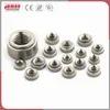 China OEM Bolt Brass Stainless Steel Hex Rivet Nut for Building for sale