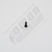 China Precision fasteners including screw ap6 1 and screw 2 0x6 3 suitable for detailed assembly work and structural integrity(OM.SC.CS.9611) for sale